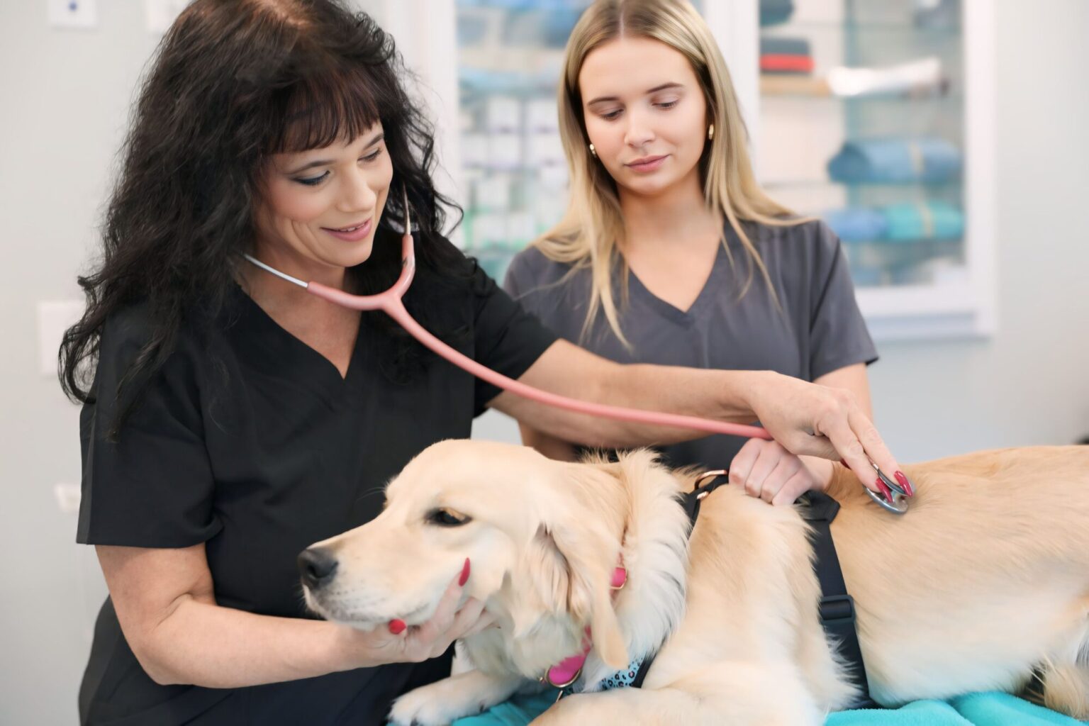 Scope of Services • Town and Country Veterinary Clinic & Emergency Hospital